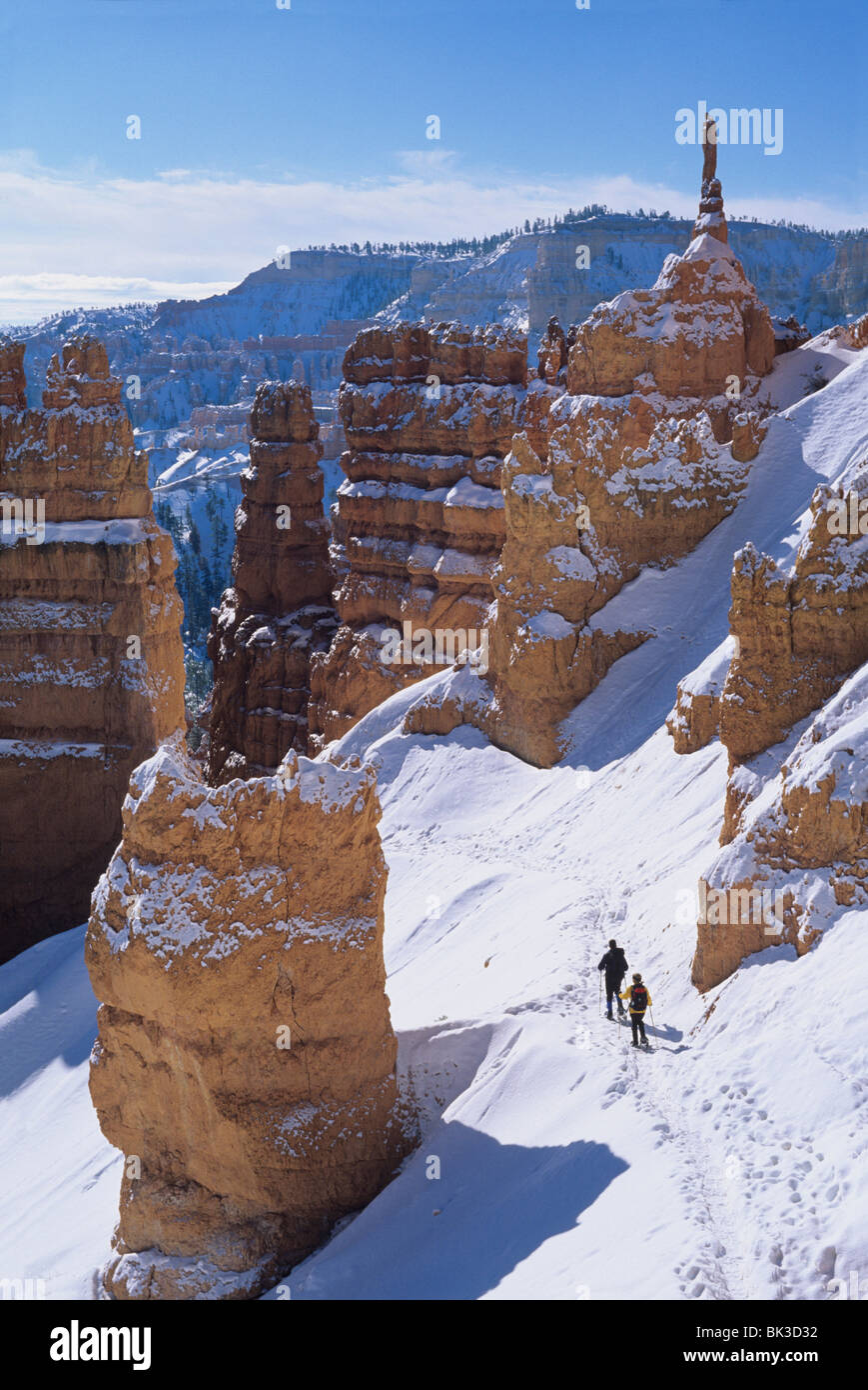 Snow shoeing below Sunset Point on the Navajo Loop Trail in Bryce ...
