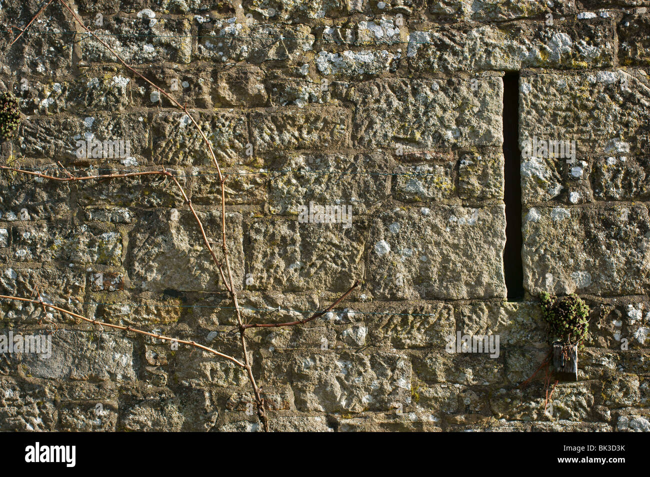 Stone wall of a barn in the border region of Scotland and England, with ...