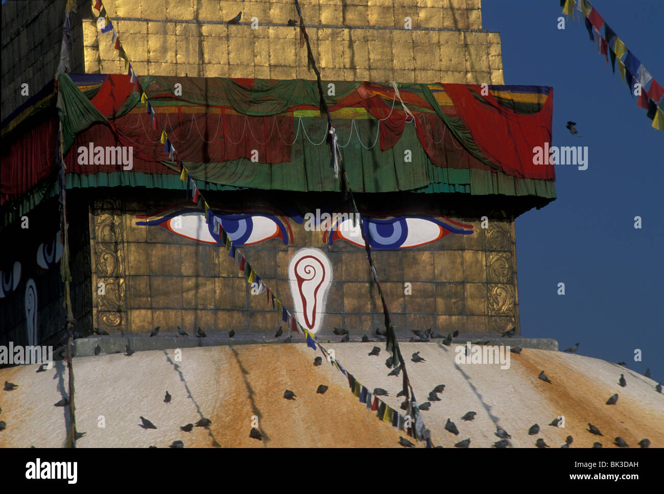 Reportages hi-res stock photography and images - Alamy