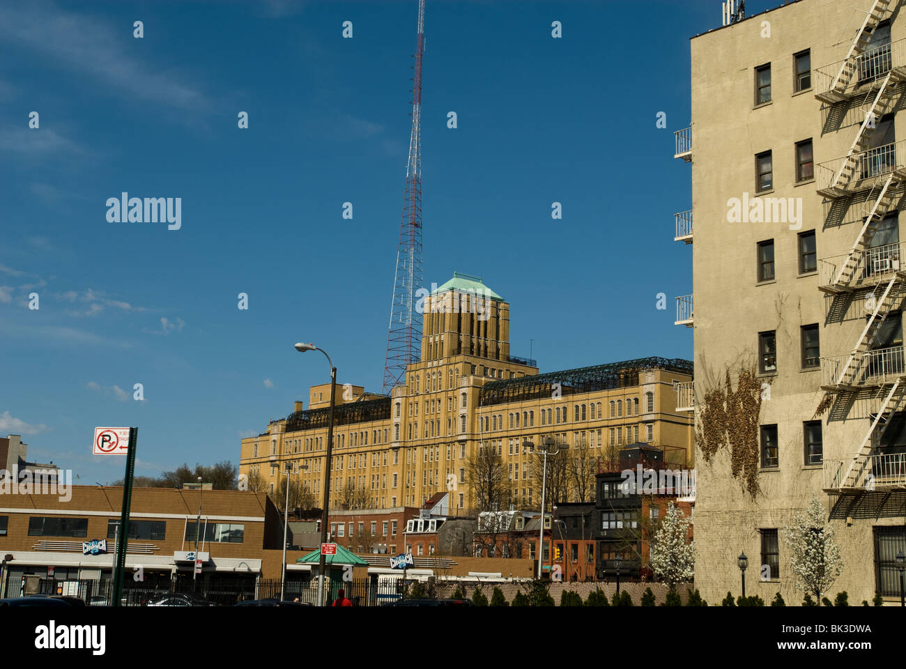 Brooklyn Tech Elite Football Logo