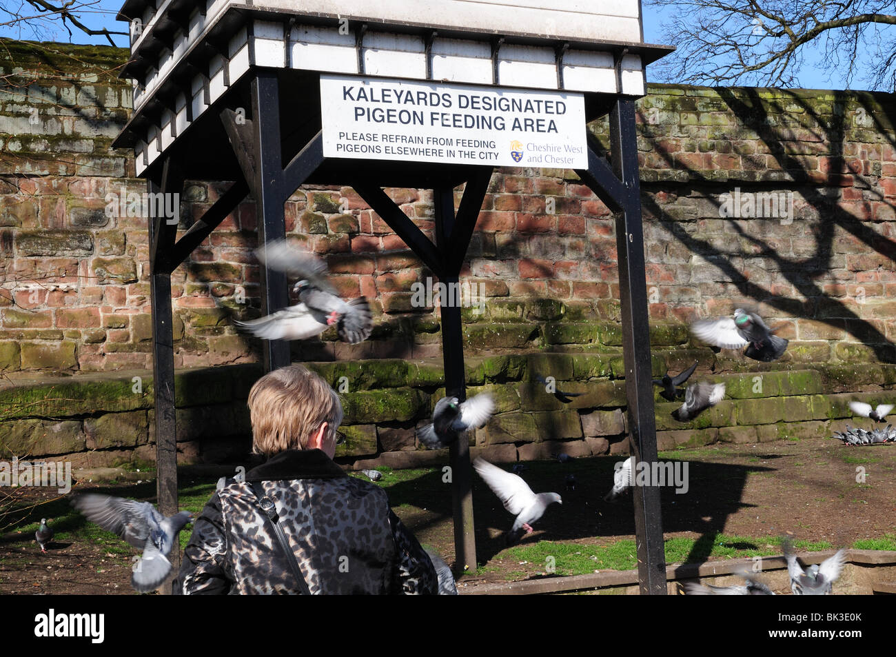 Designated hi-res stock photography and images - Alamy