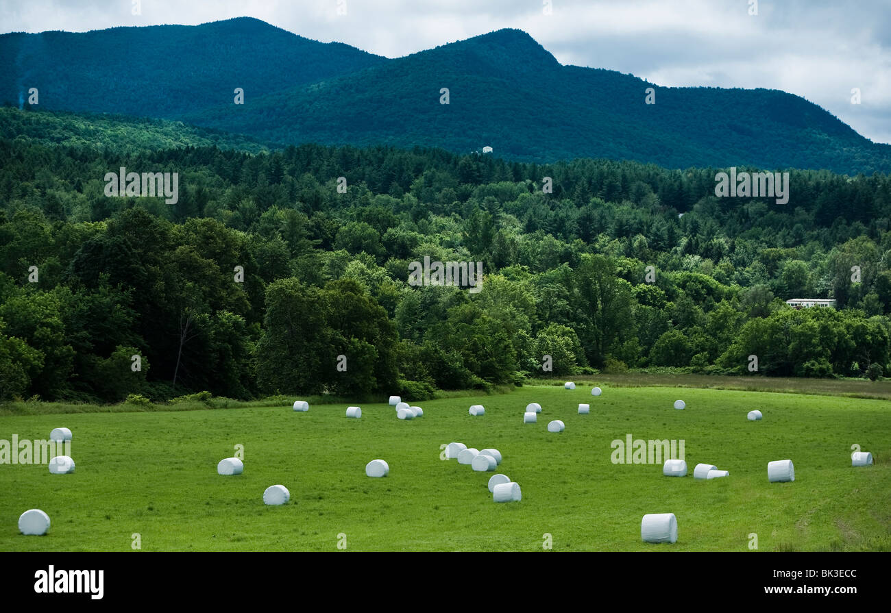 Ball hay hi-res stock photography and images - Alamy