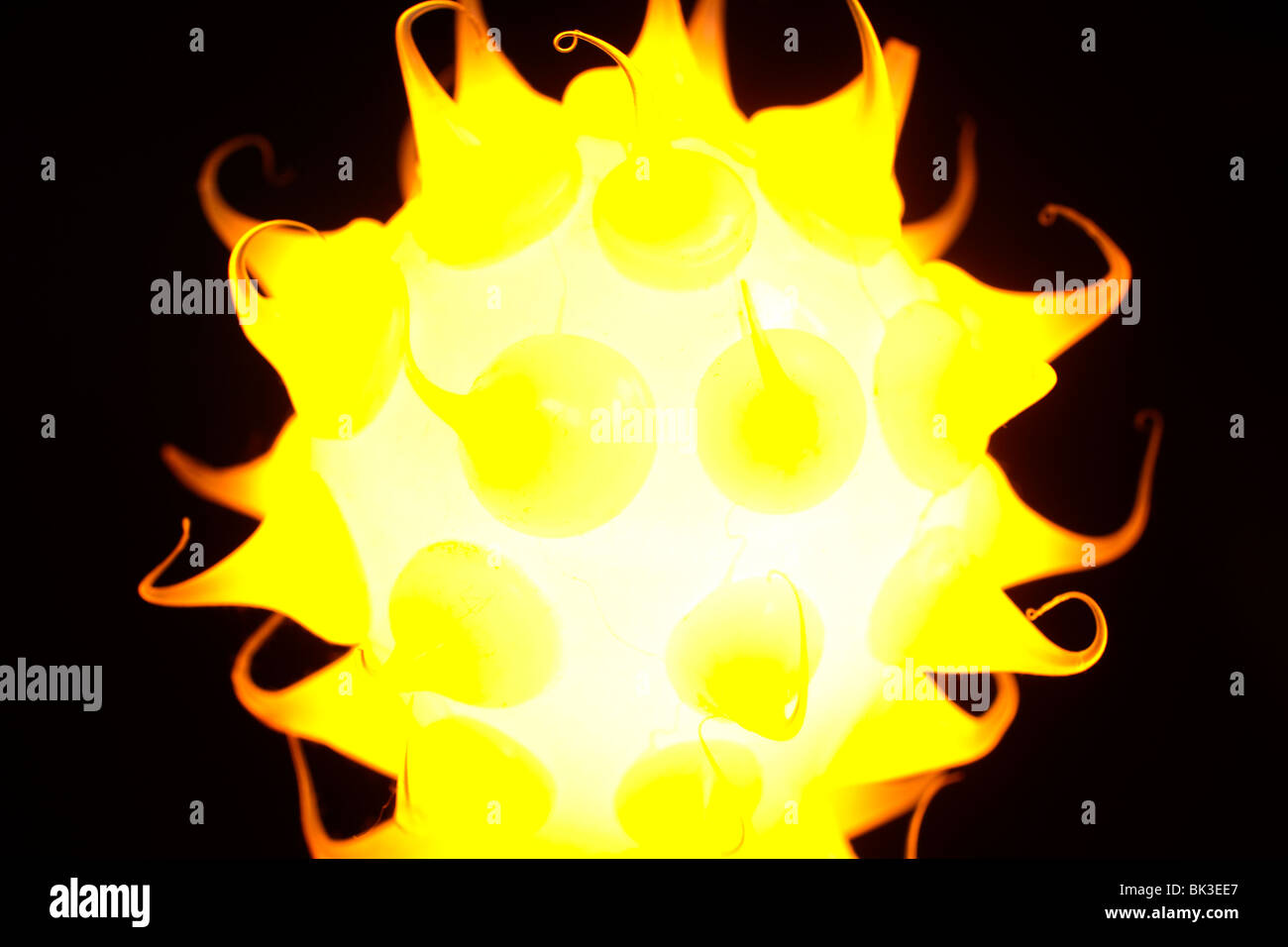 Yellow Spiky Bulb Stock Photo - Alamy