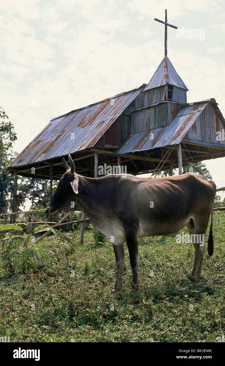Animals in churches hi-res stock photography and images - Alamy