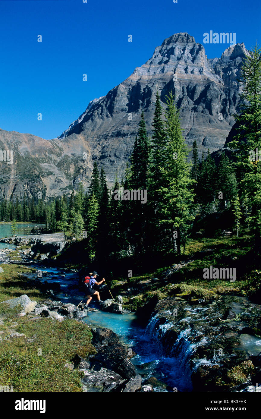 Hiking on Opabin Plateau below Mount Huber in the Lake O'Hara region of ...