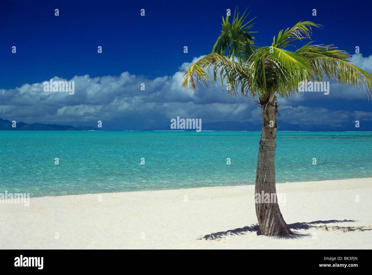 Matira beach bora bora island hi-res stock photography and images - Alamy
