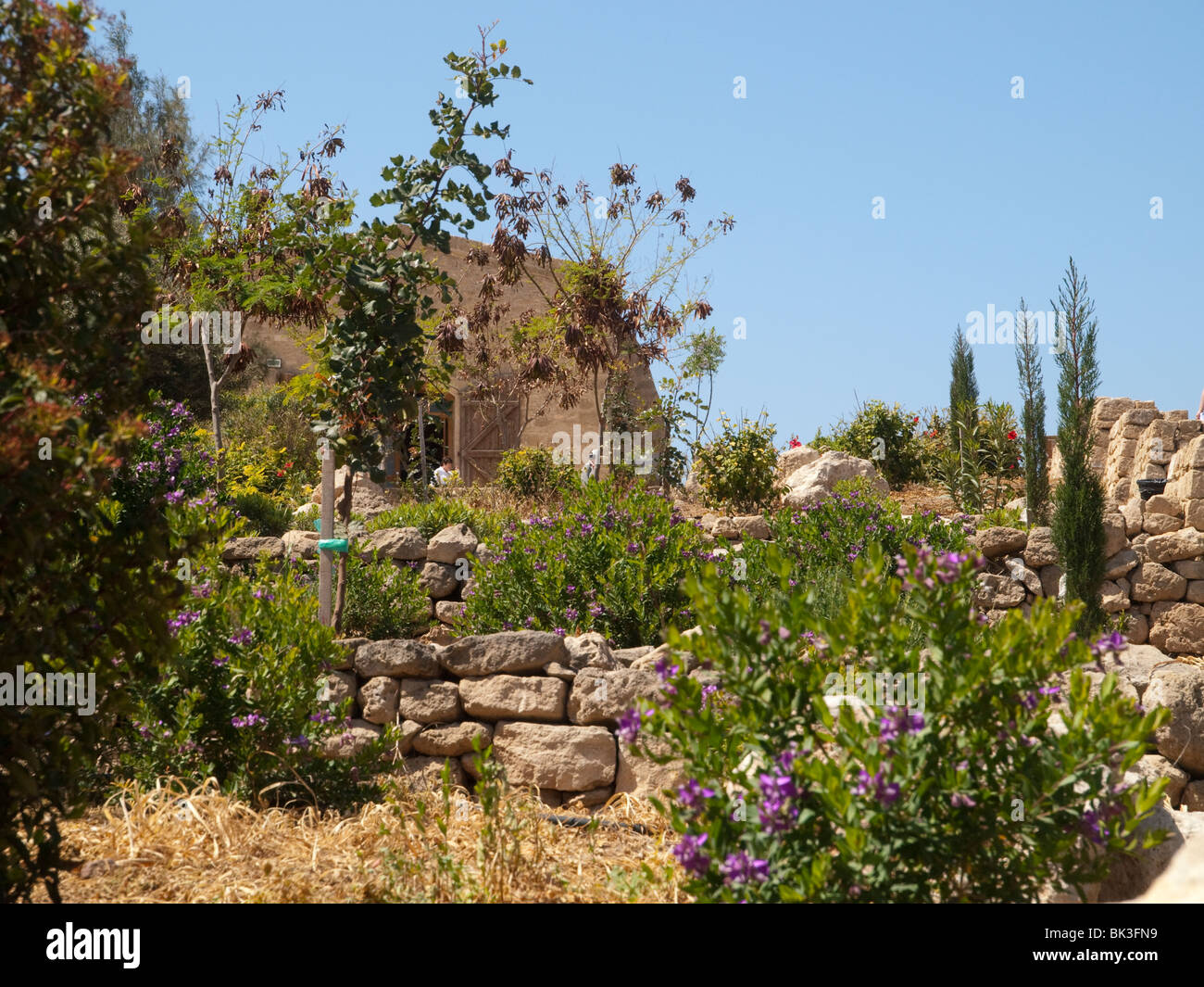 Paphos town centre hi-res stock photography and images - Alamy