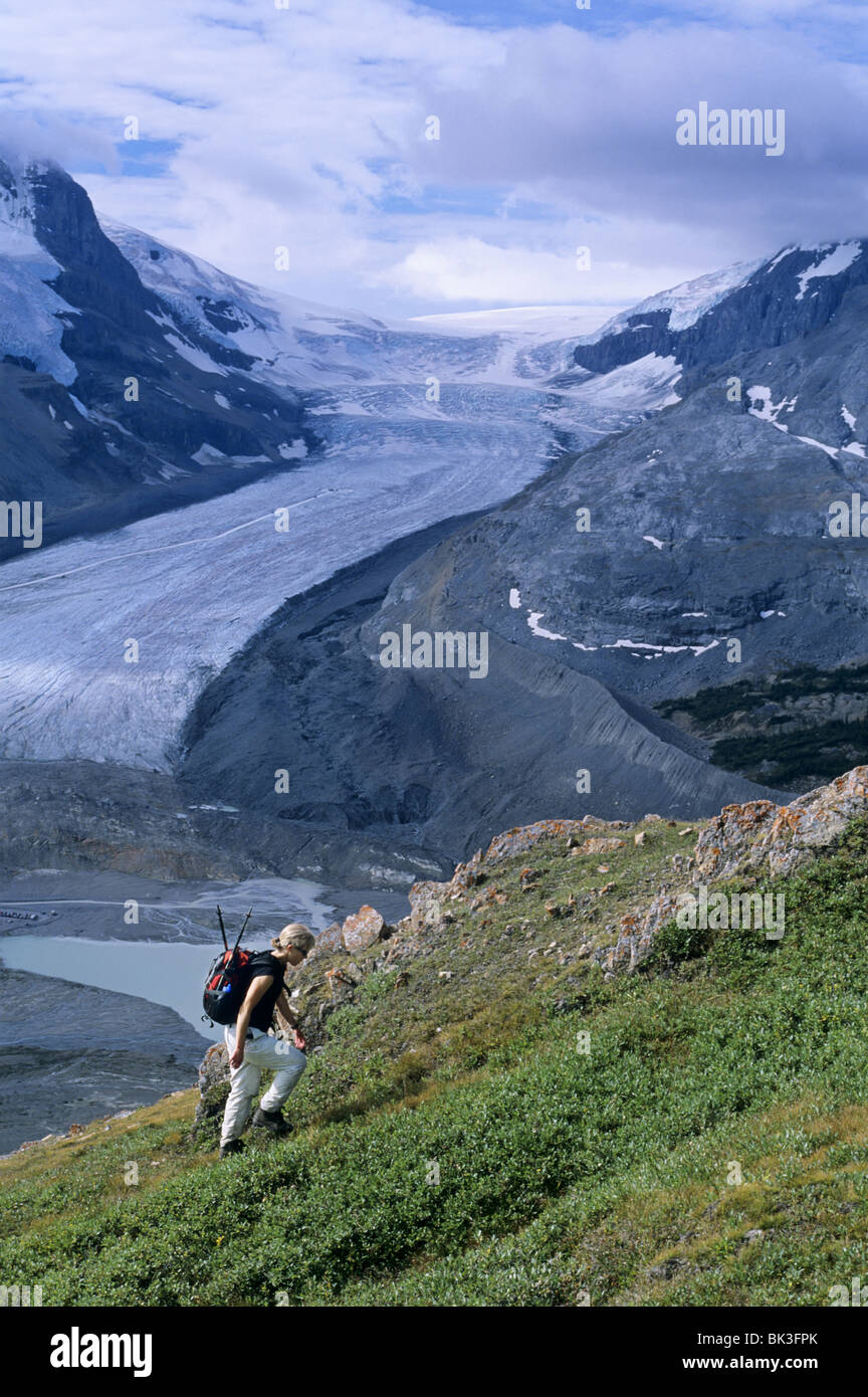 Wilcox ridge hi-res stock photography and images - Alamy