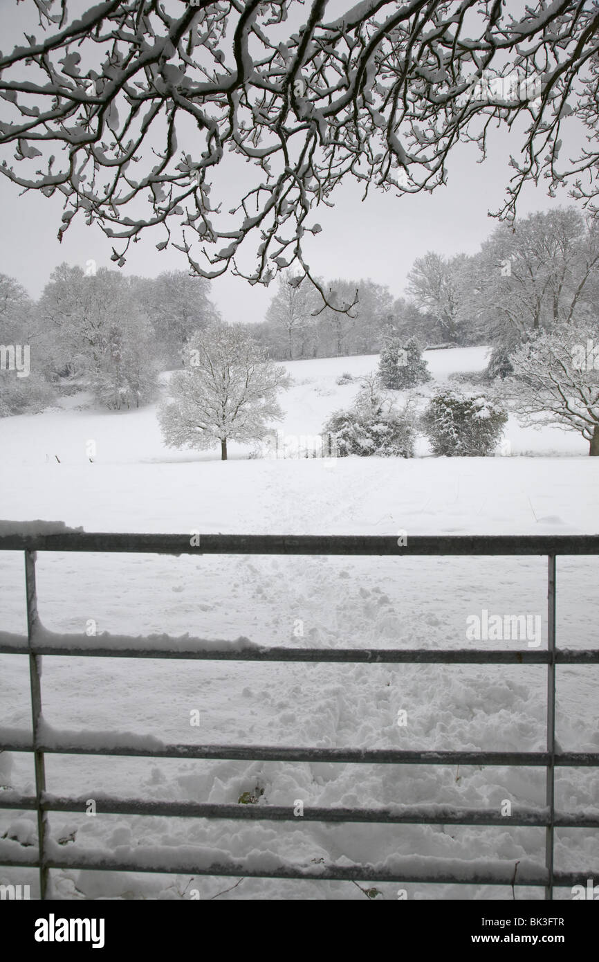 Covered gate hi-res stock photography and images - Alamy
