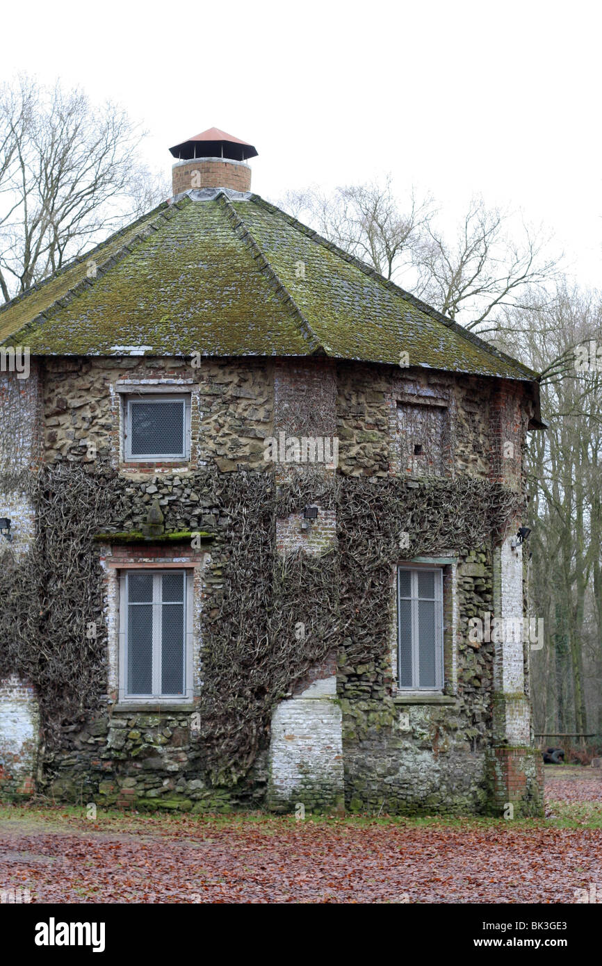 Forest Baudour, Belgium Stock Photo - Alamy