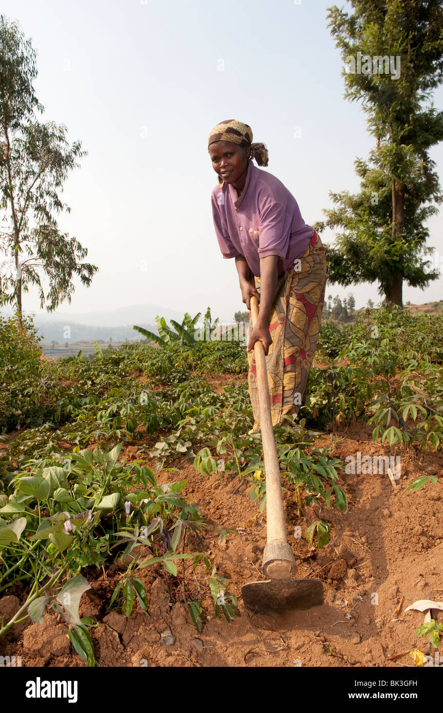 Hoeing weeds hi-res stock photography and images - Alamy