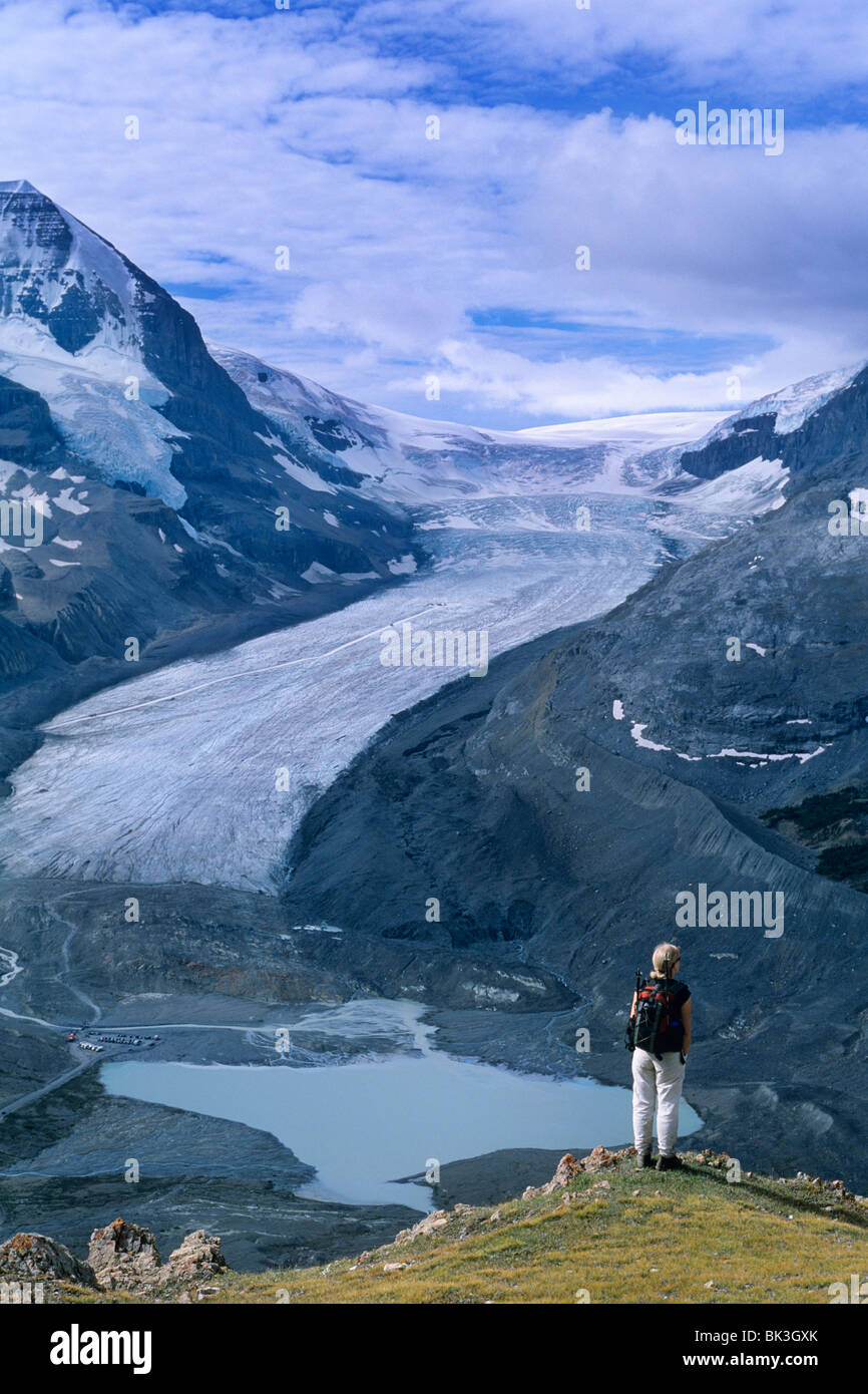 Overlooking the Athabasca Glacier from Wilcox Ridge in the Canadian ...