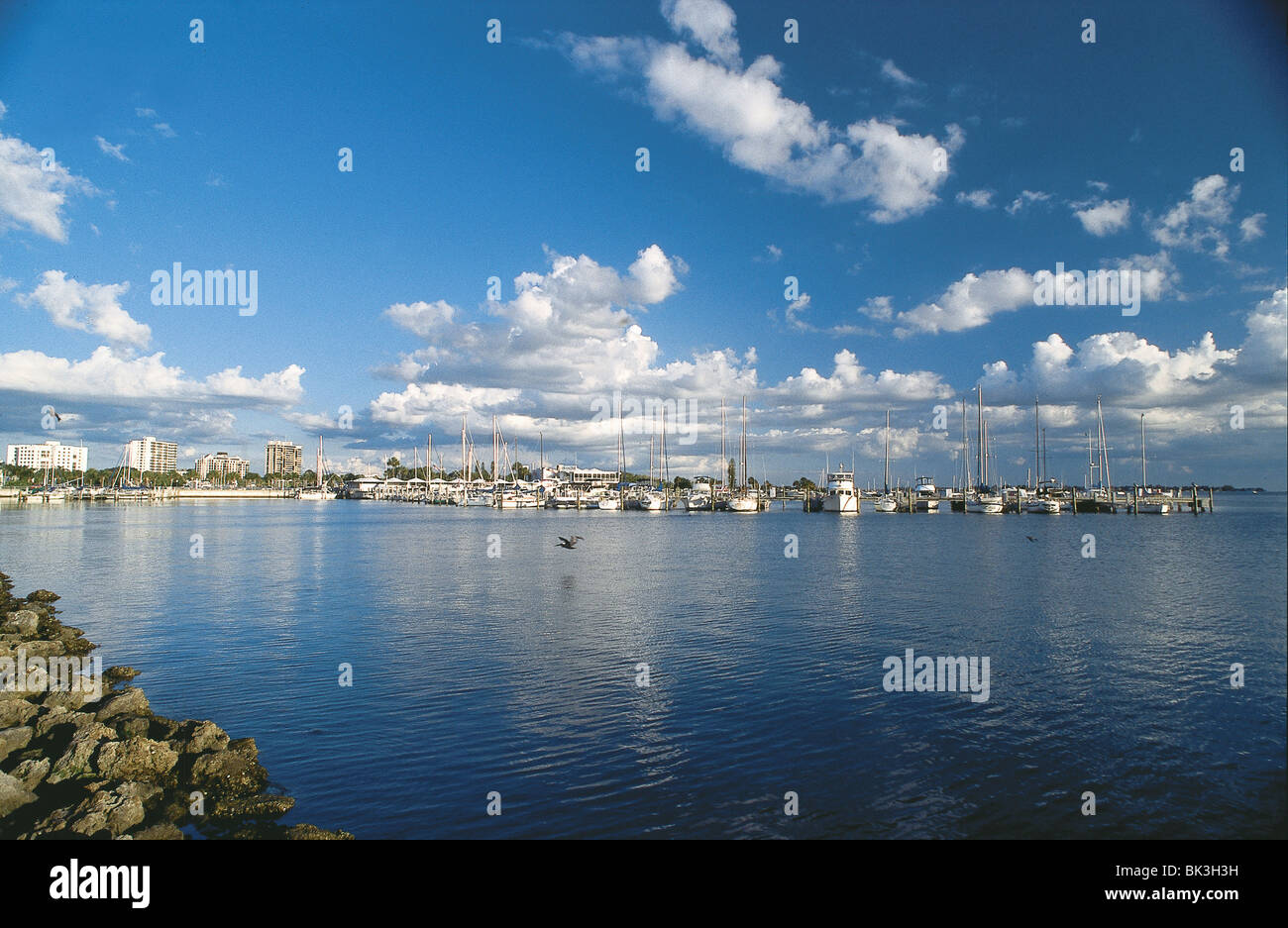 Harbor scene with boats docked in a marina at Bayfront, Sarasota ...