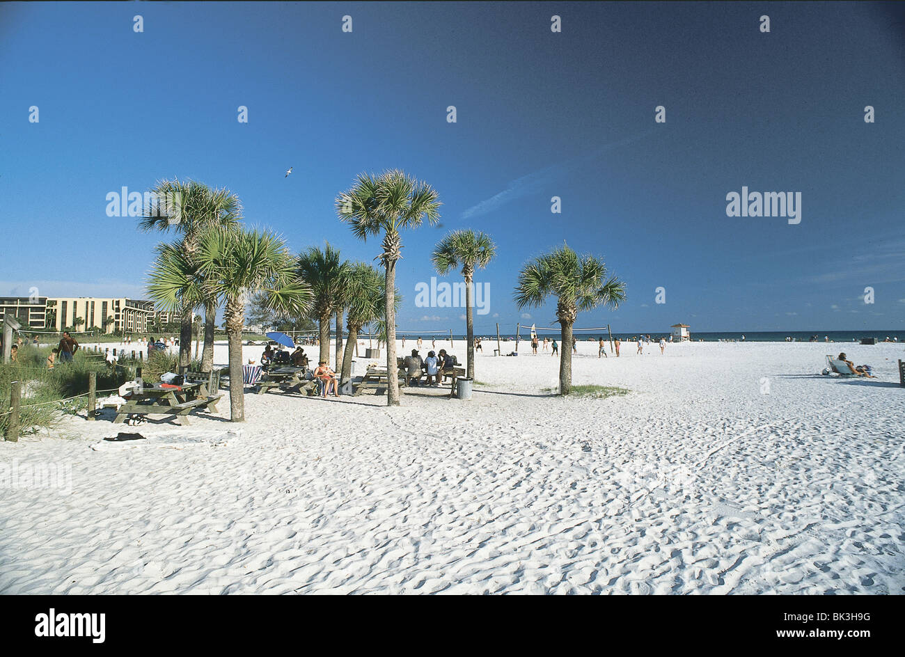 Siesta Key Sand