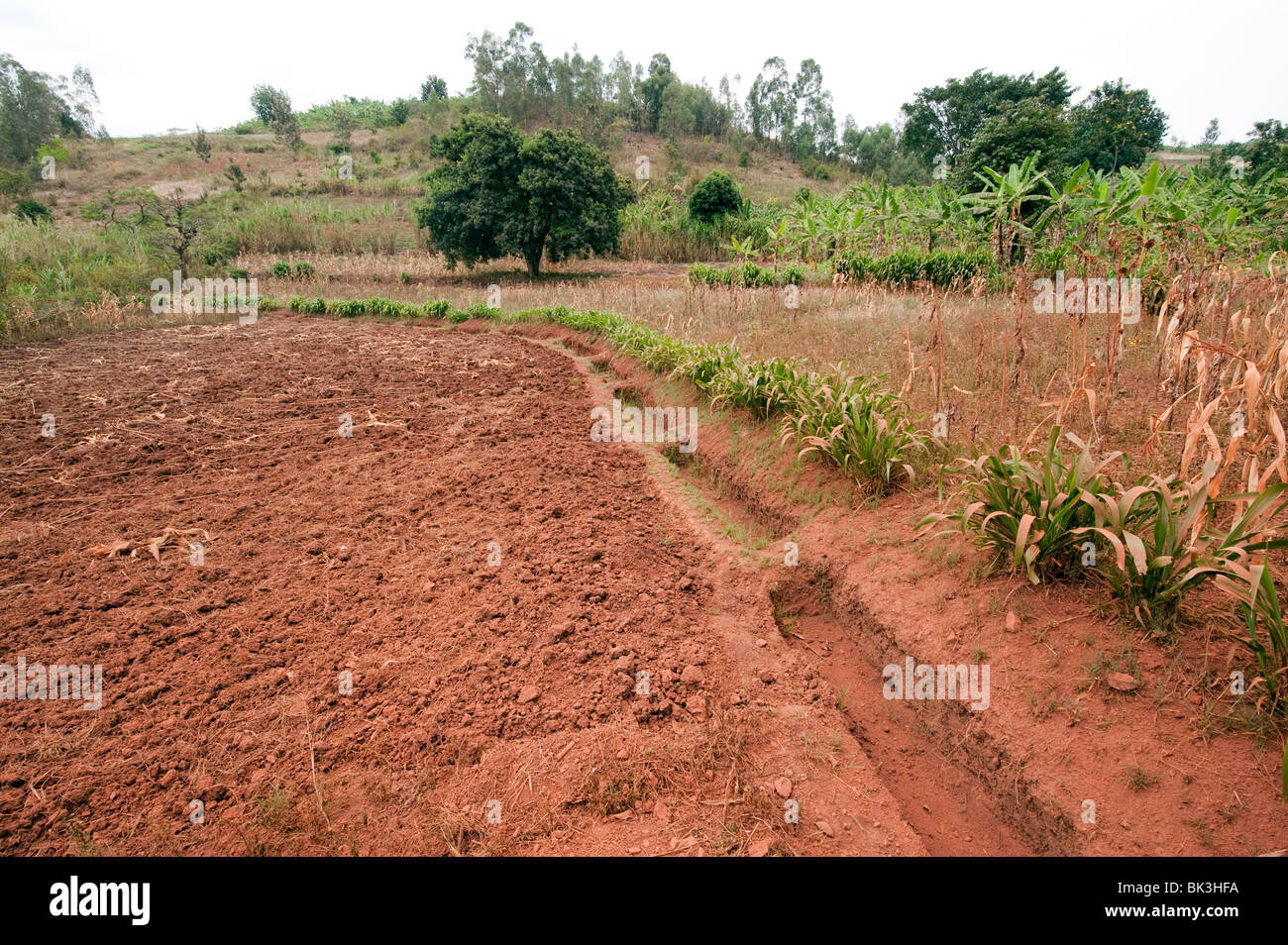 Drainage ditch hillside hi-res stock photography and images - Alamy