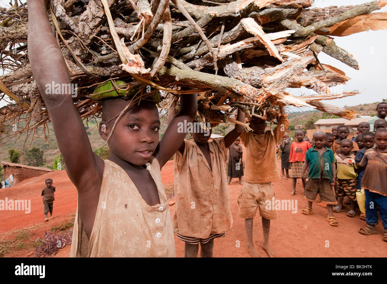 Rwandan boys carrying firewood on their heads. Rwanda Stock Photo - Alamy