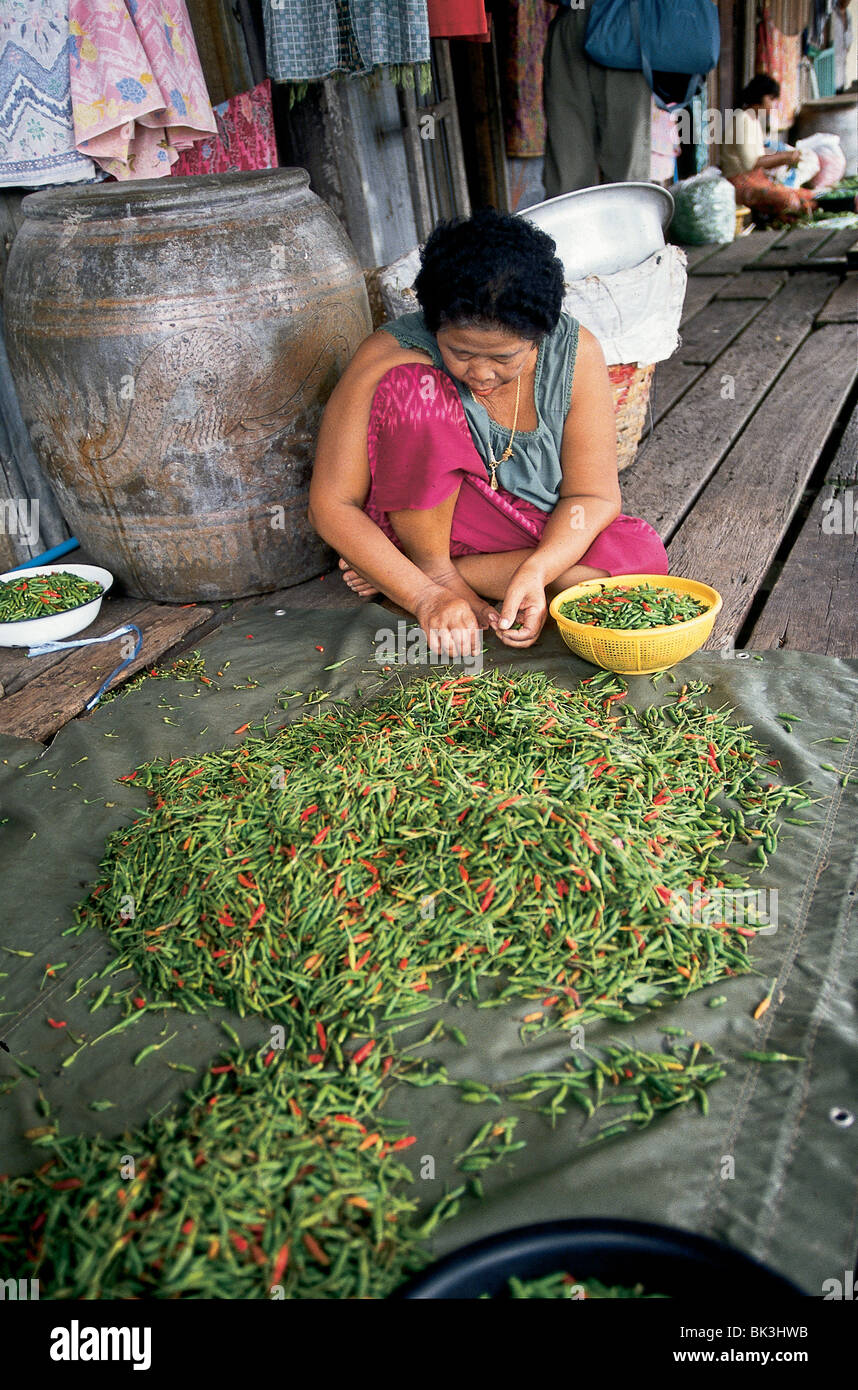 Woman sorting peppers in Bangkok, Thailand Stock Photo - Alamy