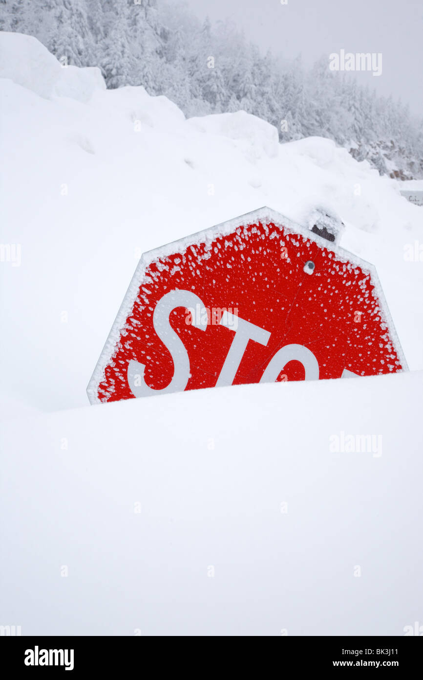 Snow covered stop sign hi-res stock photography and images - Alamy