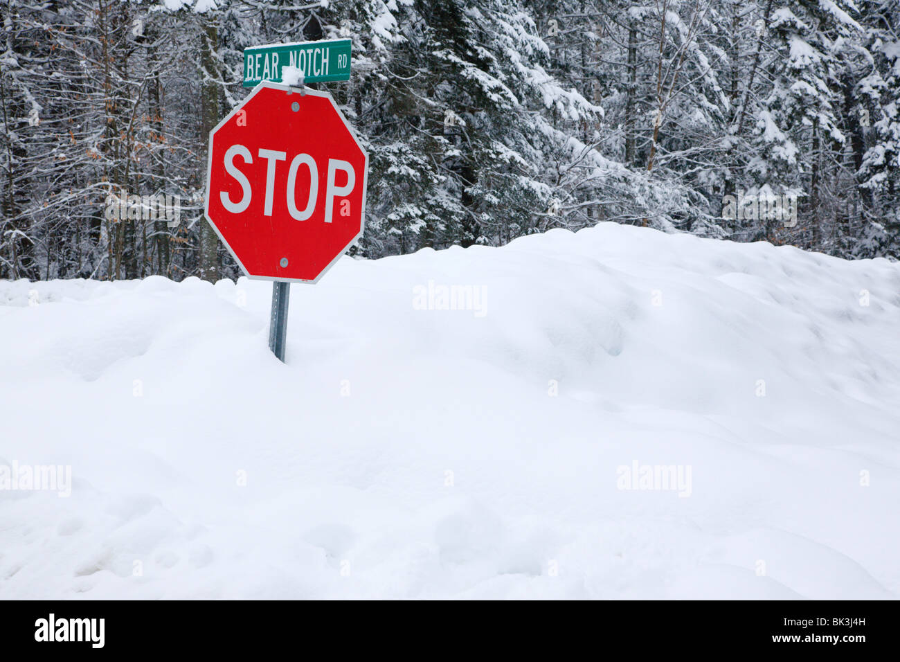 Snow Covered Stop Sign High Resolution Stock Photography and Images - Alamy