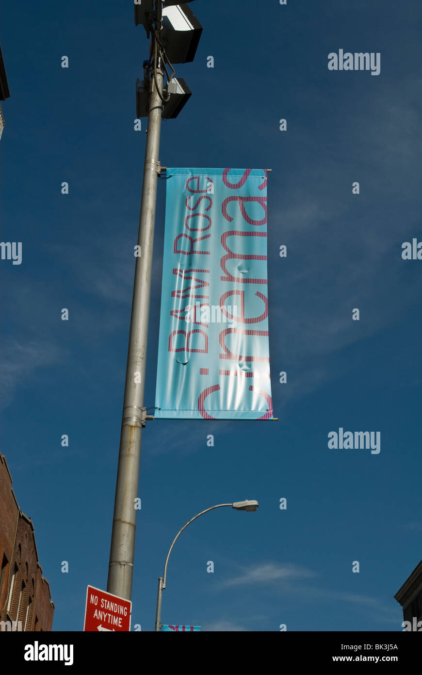 Banner for the Brooklyn Academy of Music's Rose Cinemas is seen in New ...