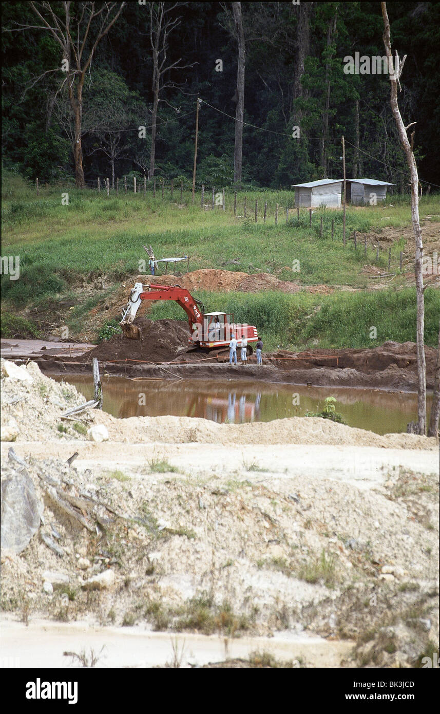 Gold mining in the Amazon Rainforest with a backhoe machine in ...