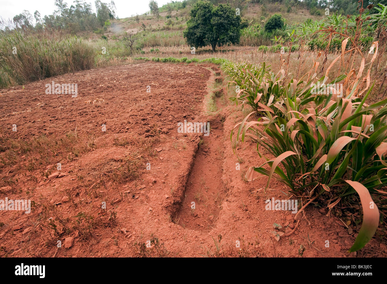 Dug ditch hi-res stock photography and images - Alamy