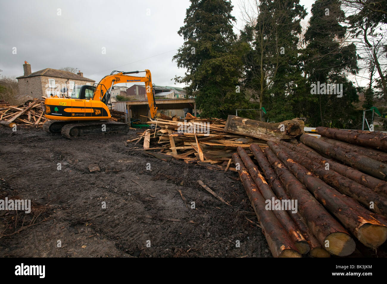 Heavy plant machinery logging. Deforestation Stock Photo - Alamy