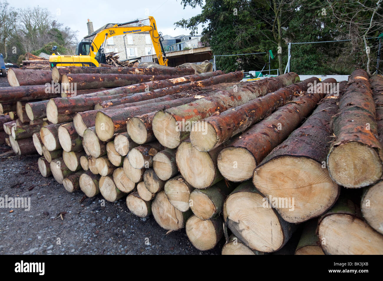 Deforestation, trees being chopped down to make way for farm land and ...