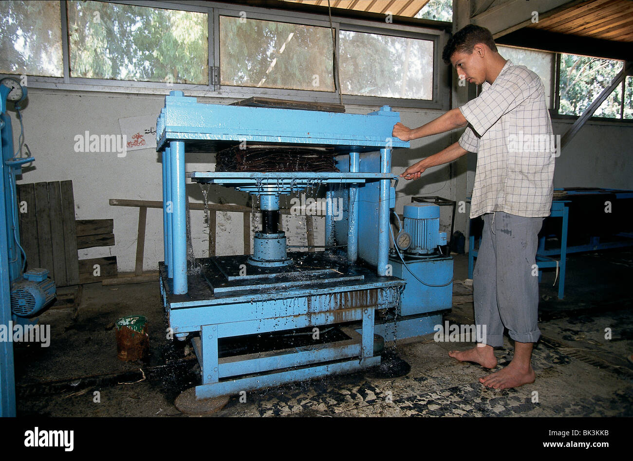 Dr. Ragab's Papyrus Institute, Cairo, Egypt Stock Photo - Alamy