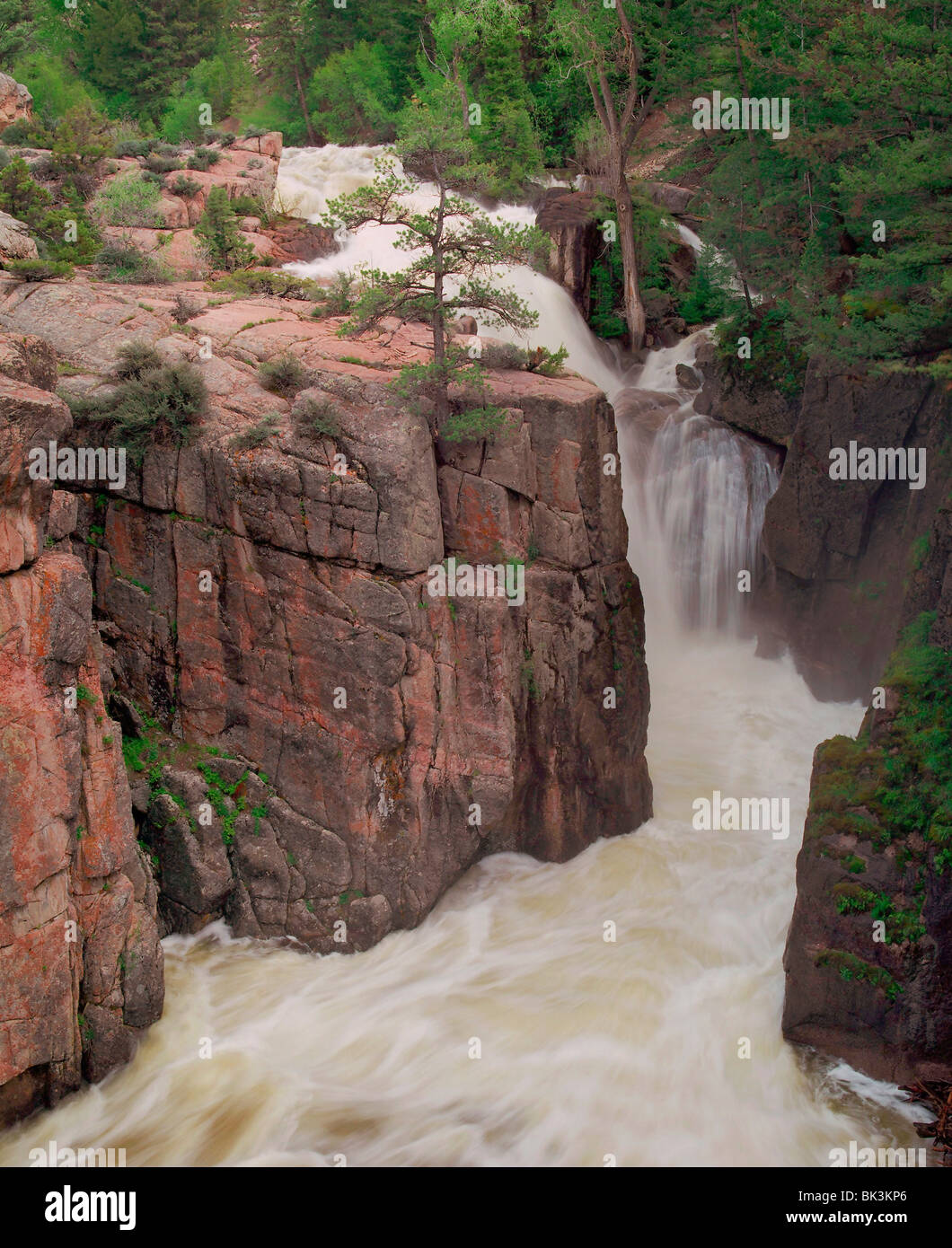 Shell falls bighorn hi-res stock photography and images - Alamy