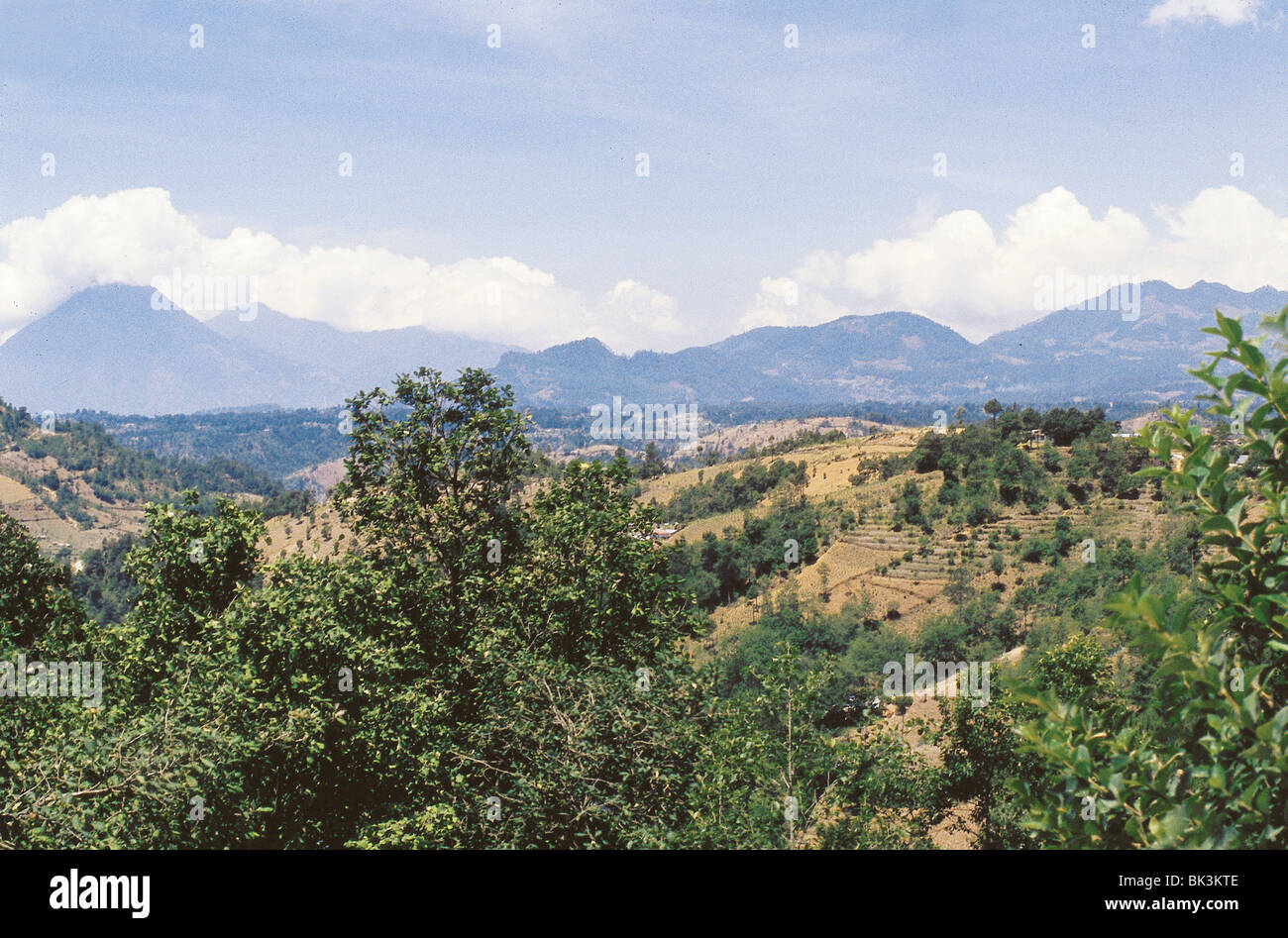 Guatemalan farms hi-res stock photography and images - Alamy