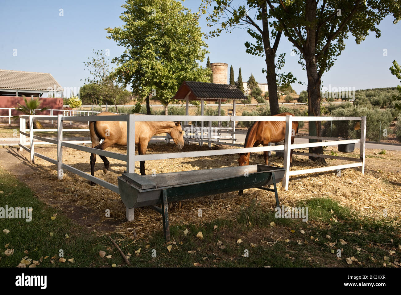 outdoor small block Stock Photo - Alamy