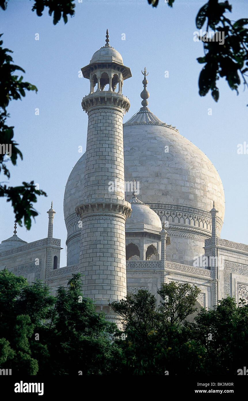 Architectural Details of the Taj Mahal in Agra, India Stock Photo - Alamy
