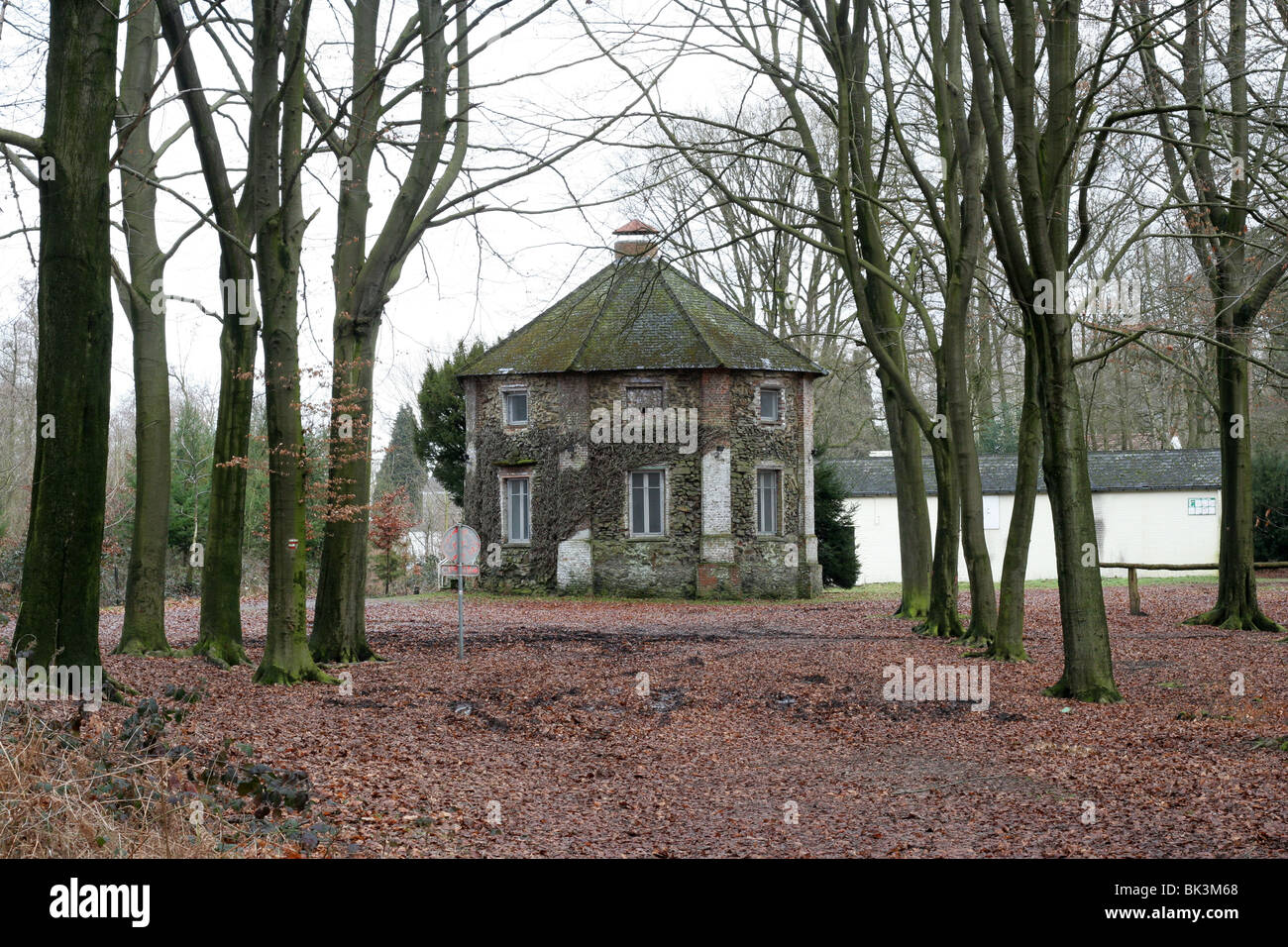 Forest Baudour, Belgium Stock Photo - Alamy