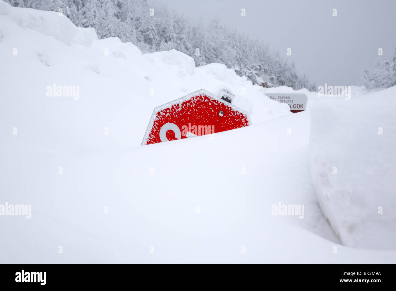 Snow covered stop sign hi-res stock photography and images - Alamy