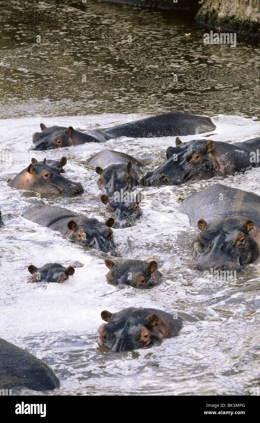Cautious concern hi-res stock photography and images - Alamy