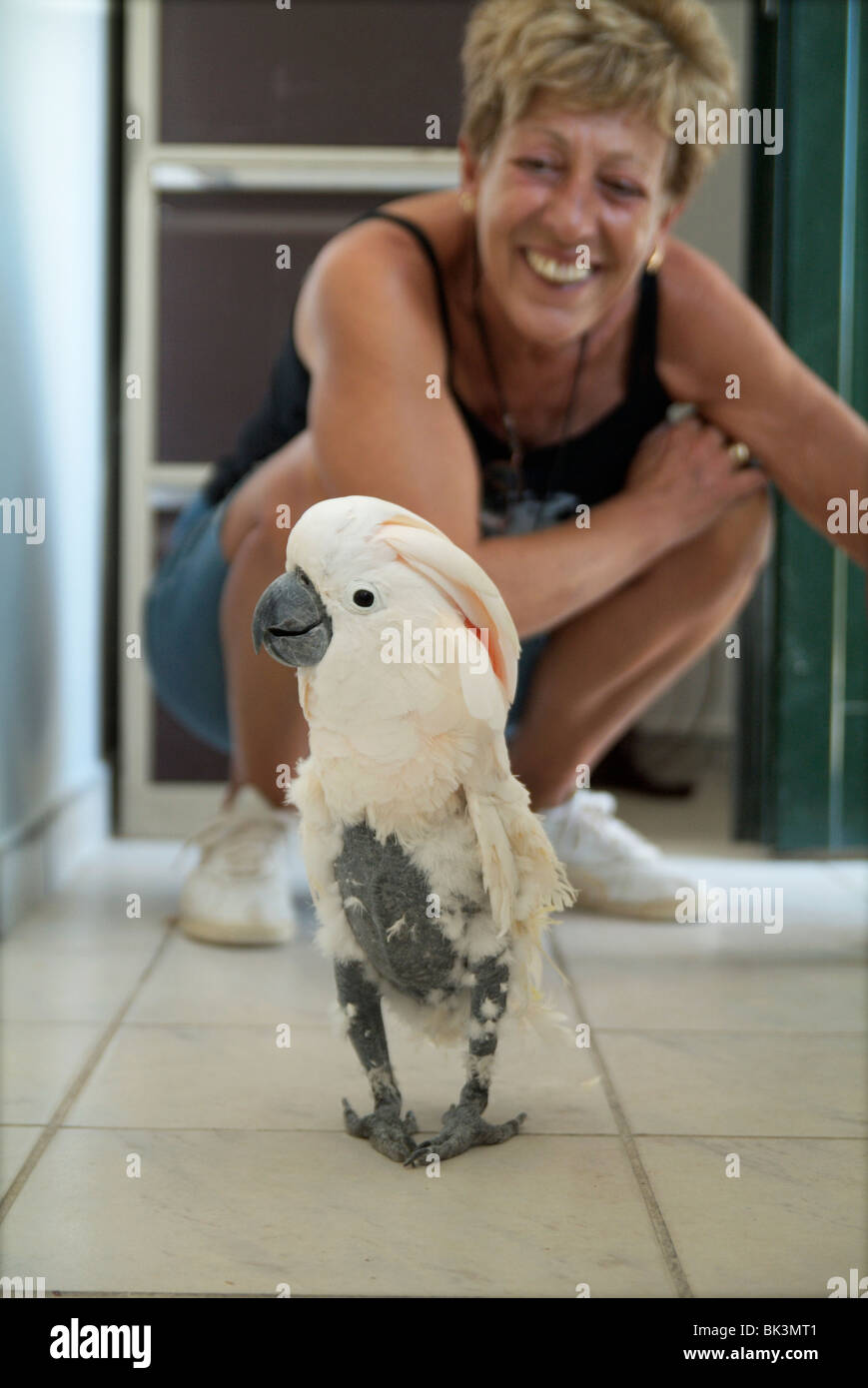 Woman crouching beside cockatoo in a wildlife rehabilitation center ...