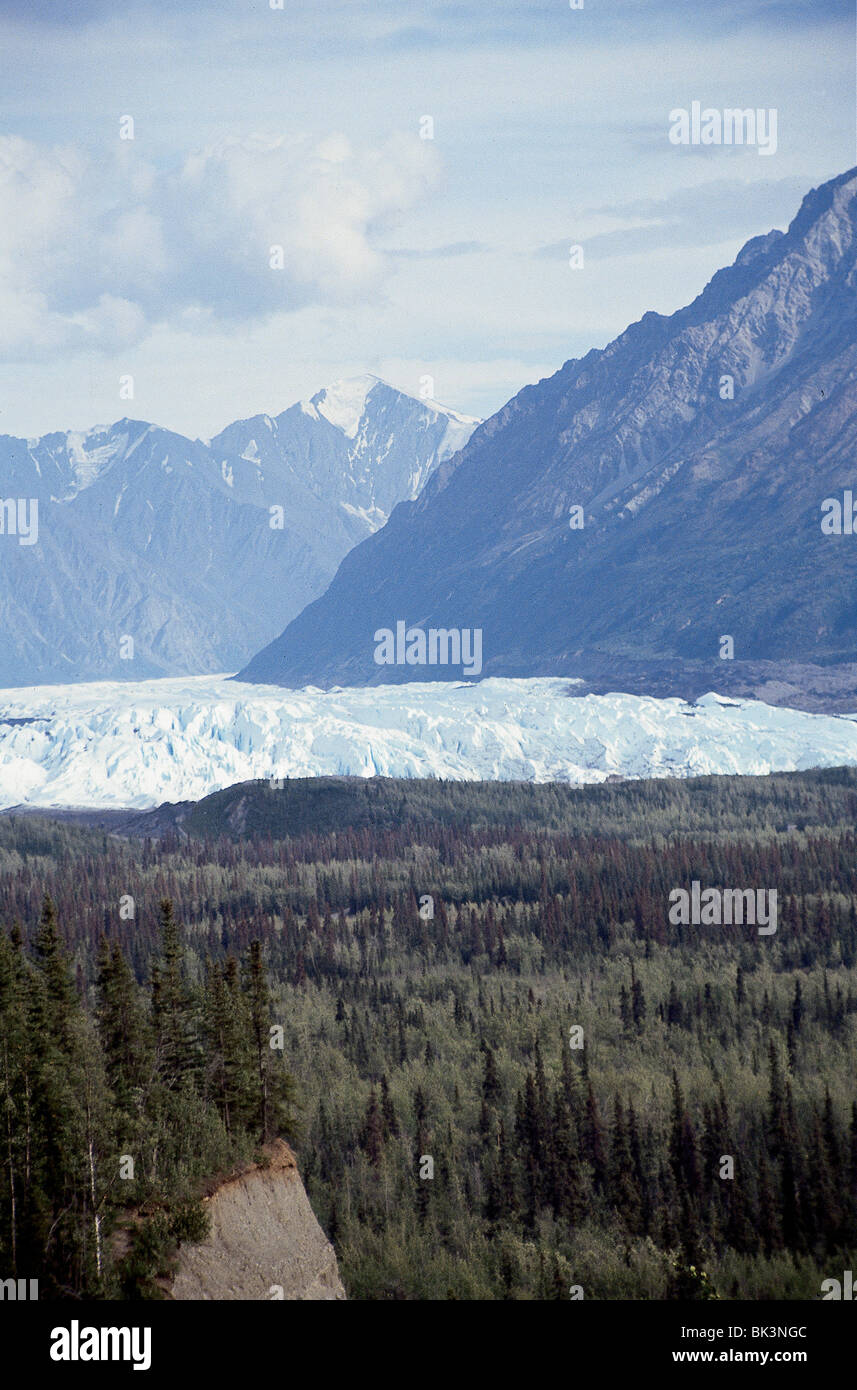 Glacier, forest and mountains in Alaska Stock Photo - Alamy
