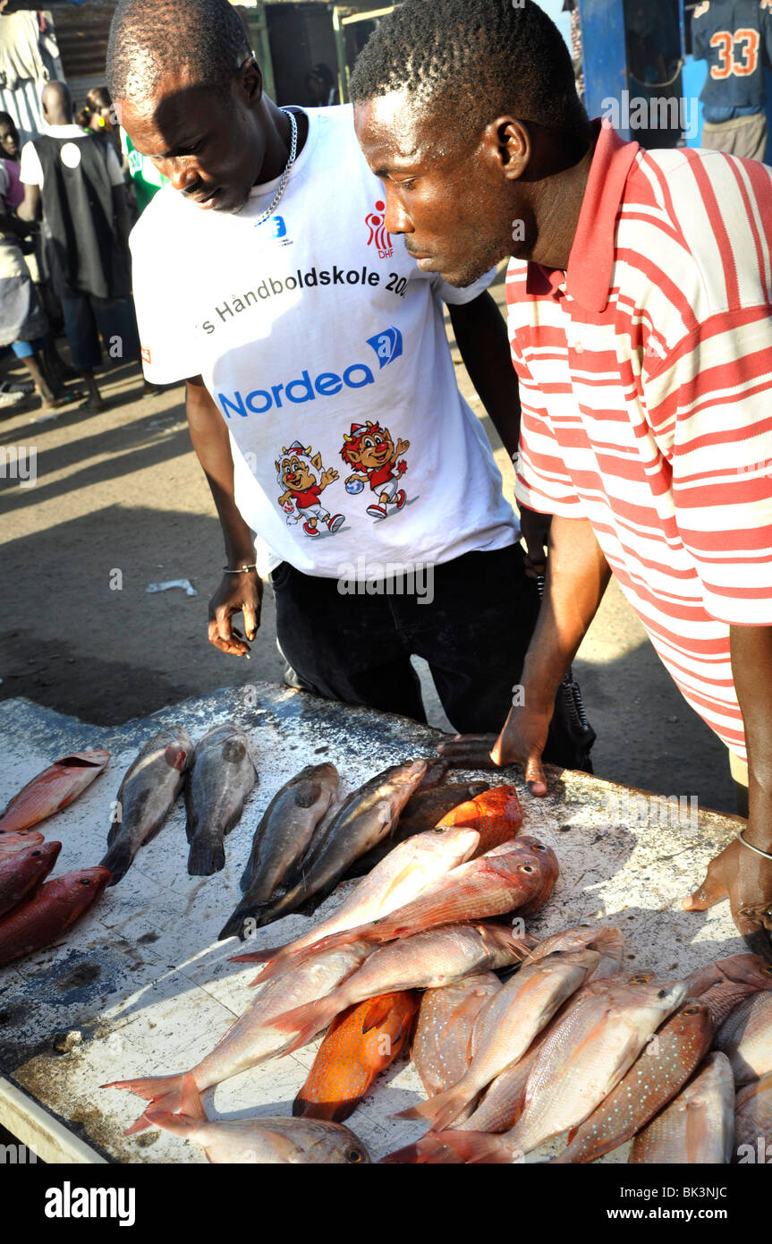 Selling fish in a harbour in The Gambia Stock Photo - Alamy