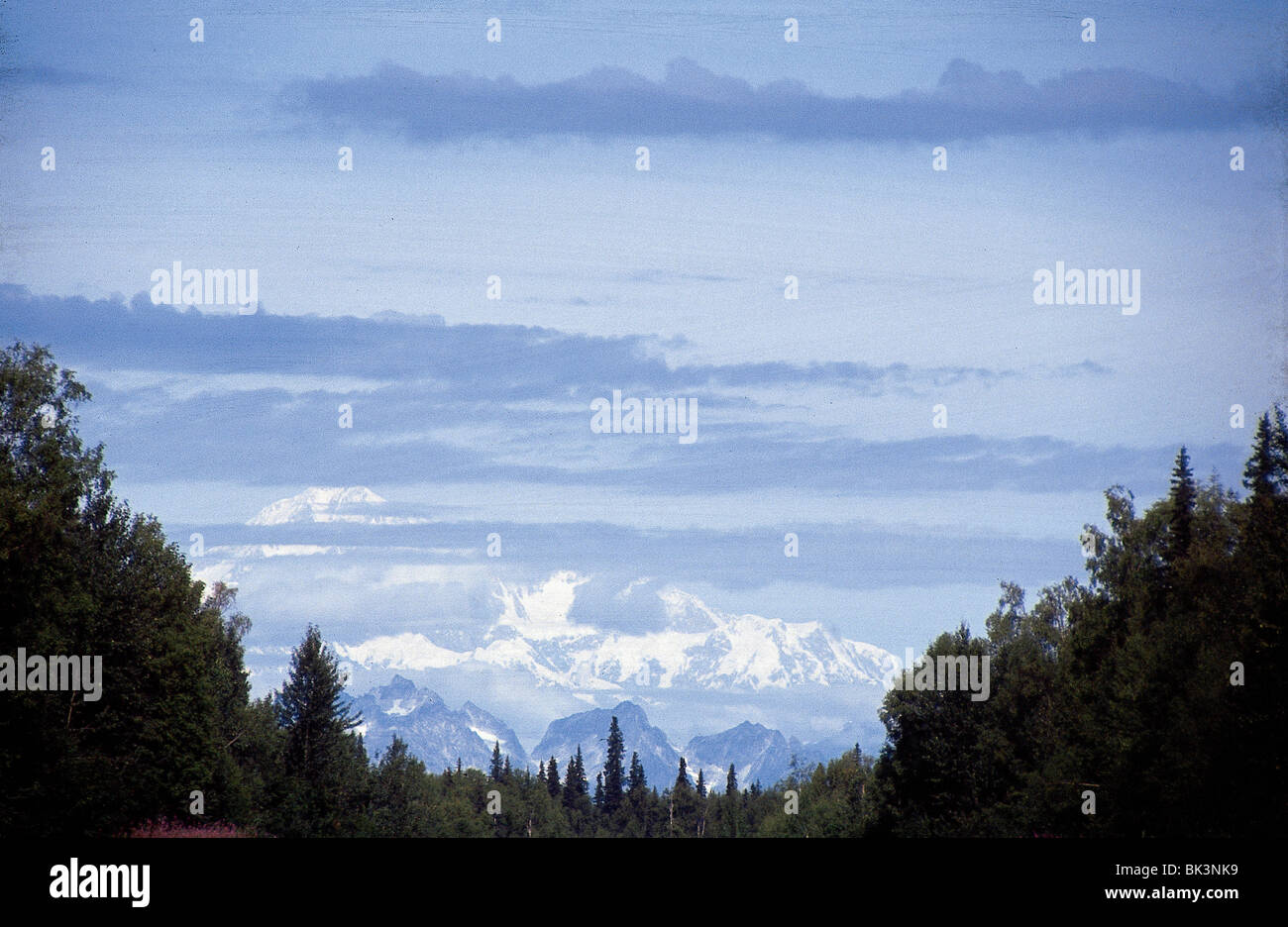 Denali National Park & Preserve features North America's highest ...