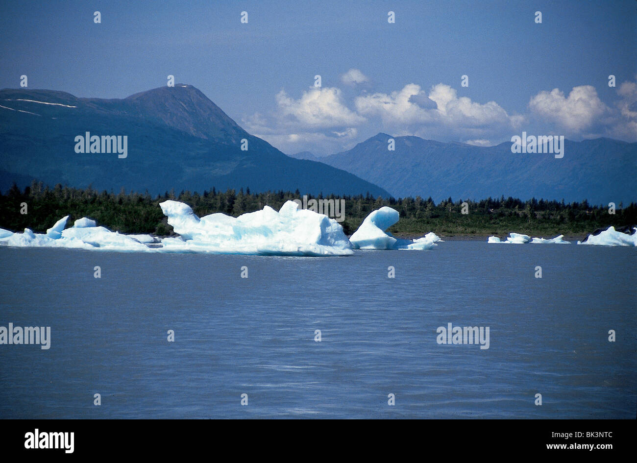 Floating ice in the North American Portage Glacier Lake on the Kenai ...
