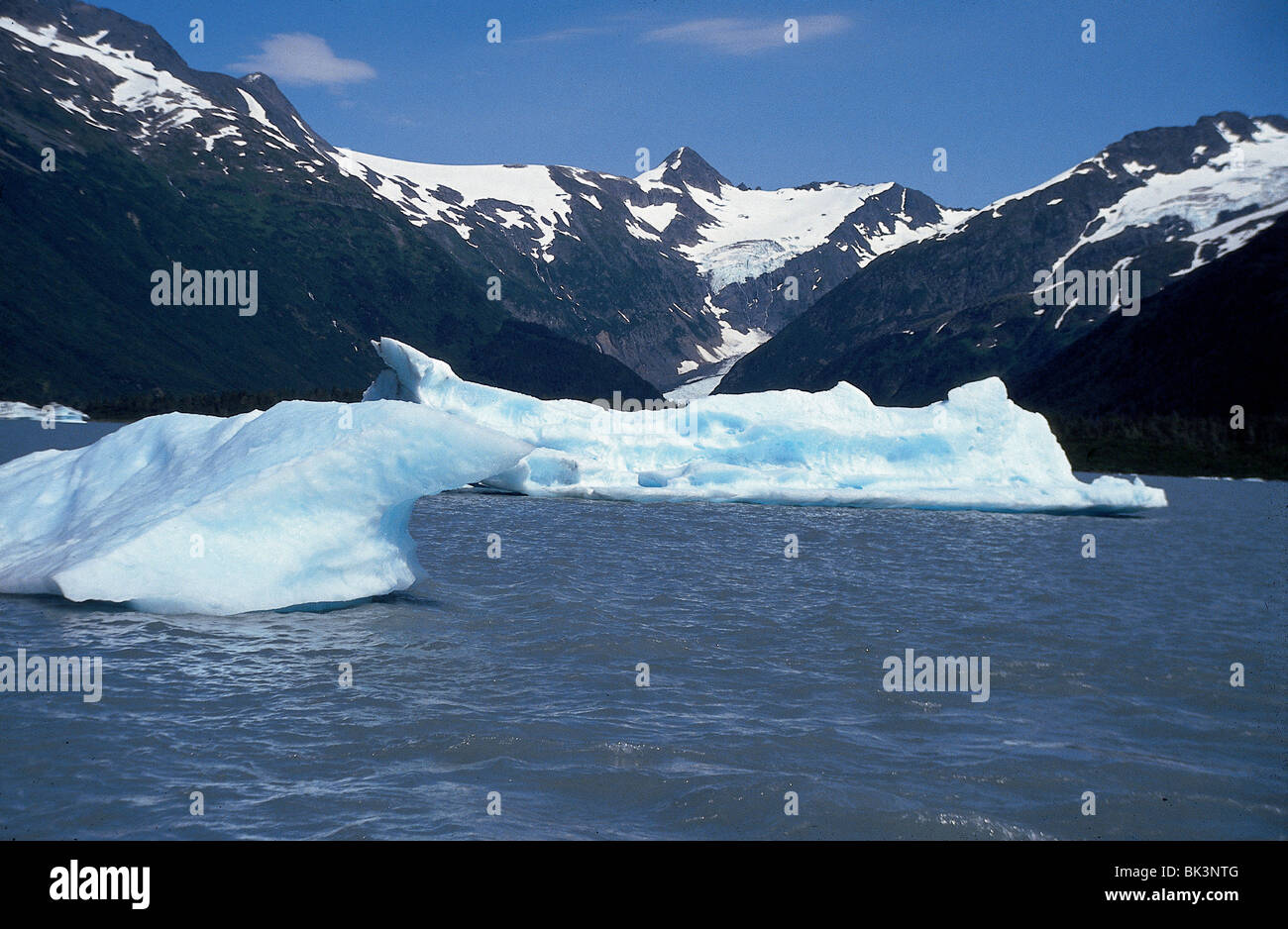 Floating ice in the North American Portage Glacier Lake on the Kenai ...