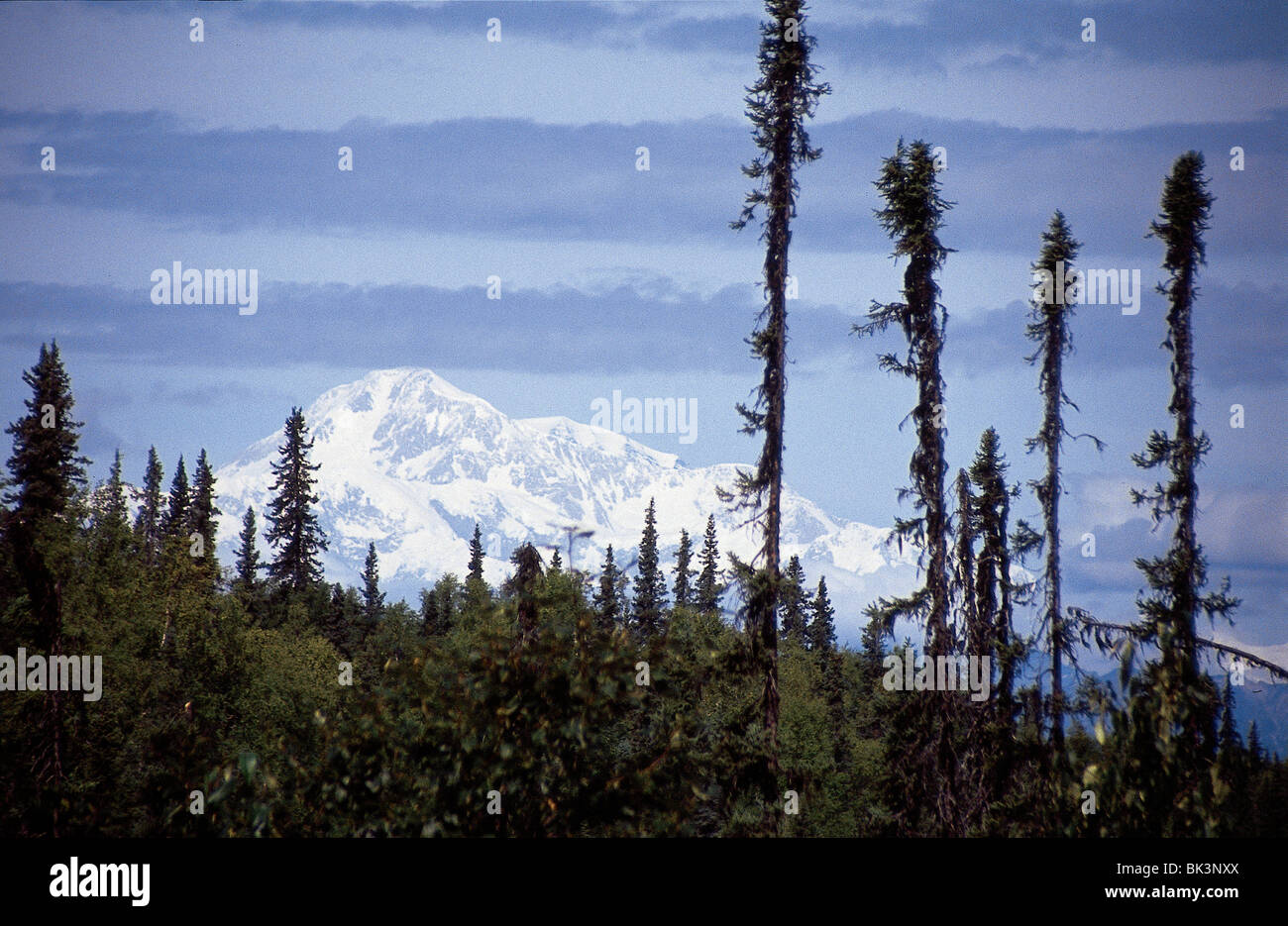Denali National Park & Preserve features North America's highest ...