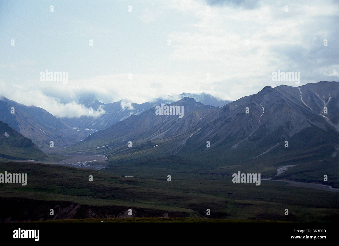 Denali National Park and Preserve landscape in summer with low hanging ...