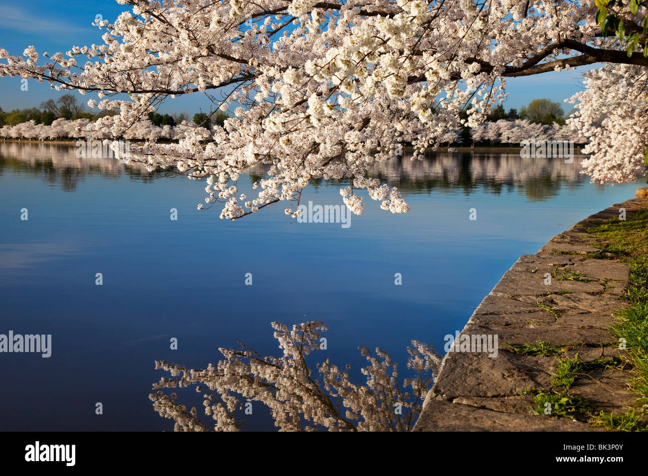 Tidal basin in washington dc hi-res stock photography and images - Alamy