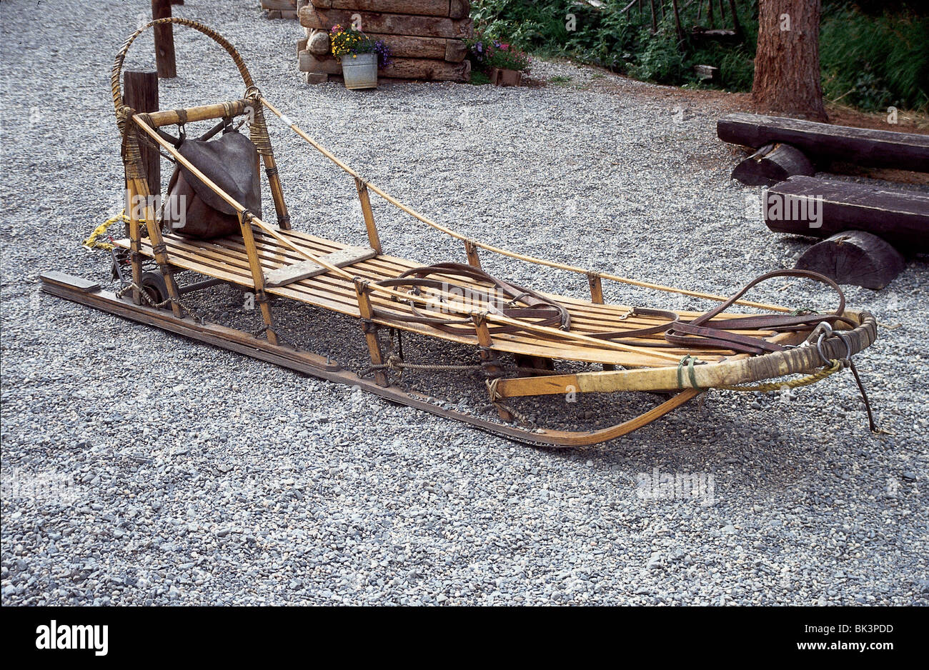 Dog sled in Alaska Stock Photo - Alamy