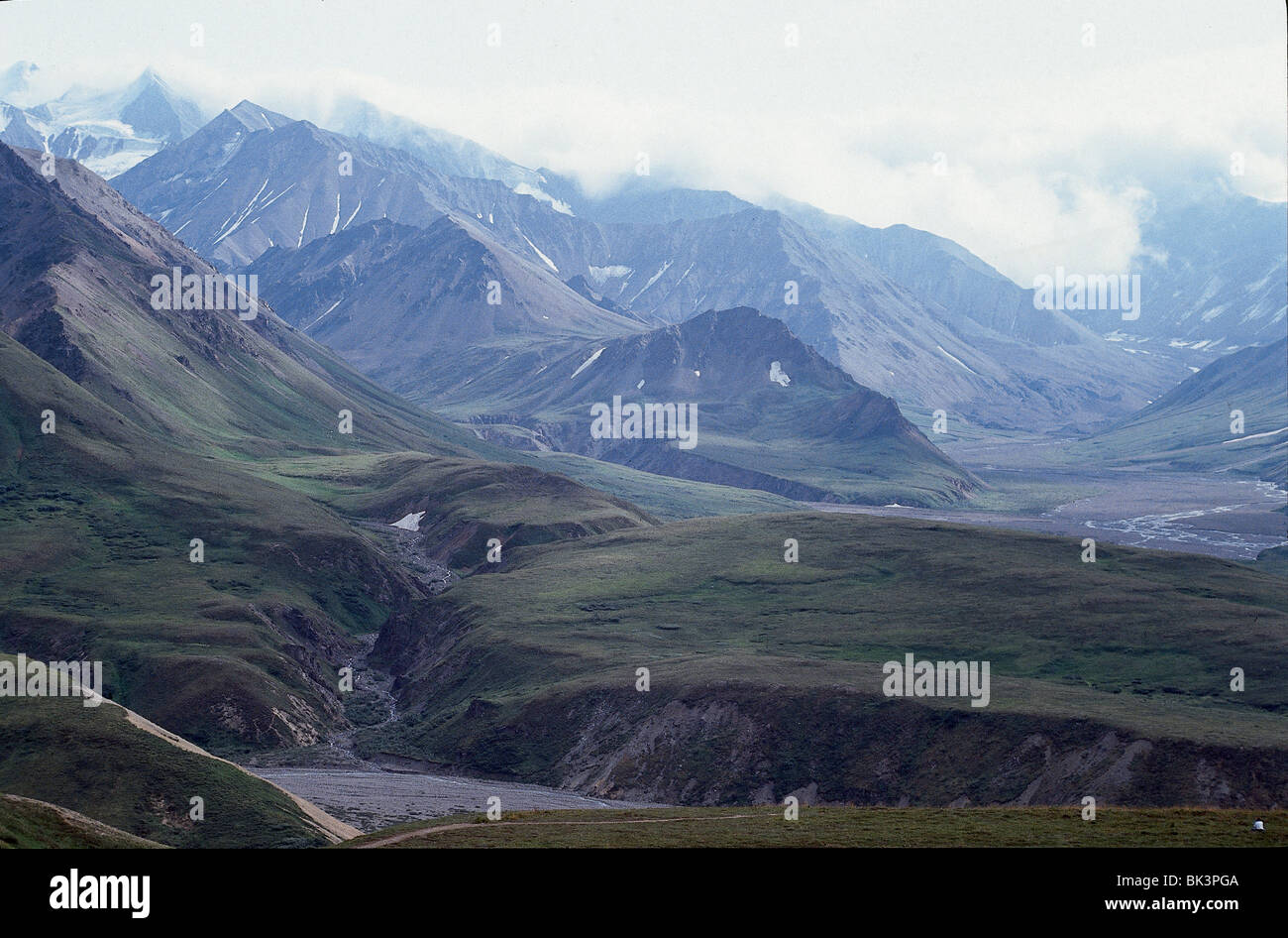 Aerial view of Denali National Park and Preserve in Alaska, United ...