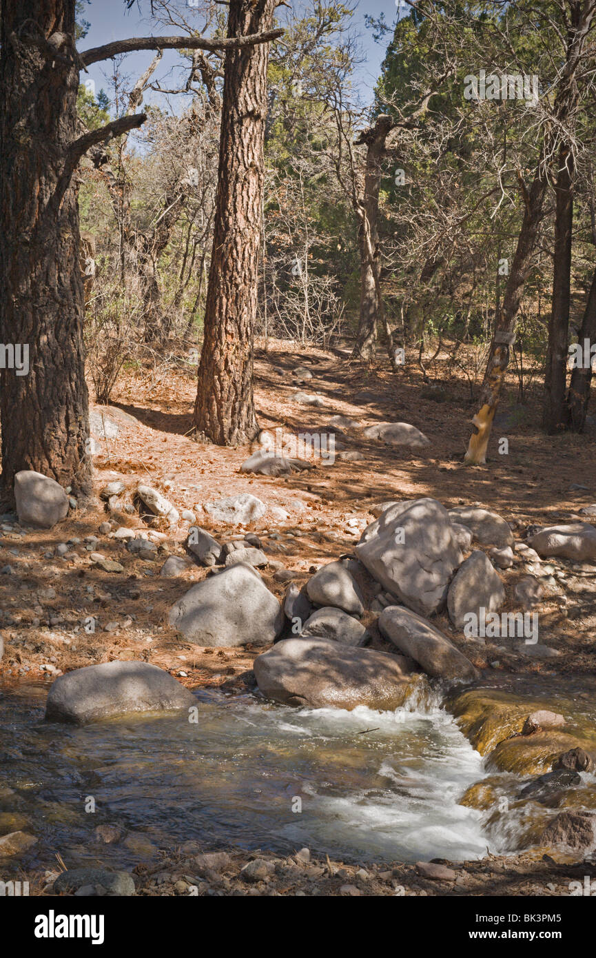 The cool and lush landscape beckons the visitor to the Three Rivers ...