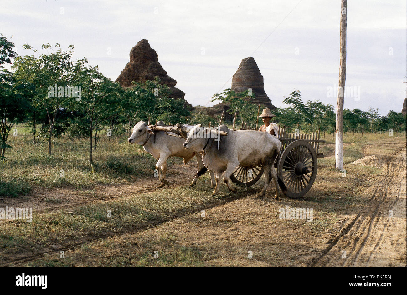 Two wheel carts hi-res stock photography and images - Alamy