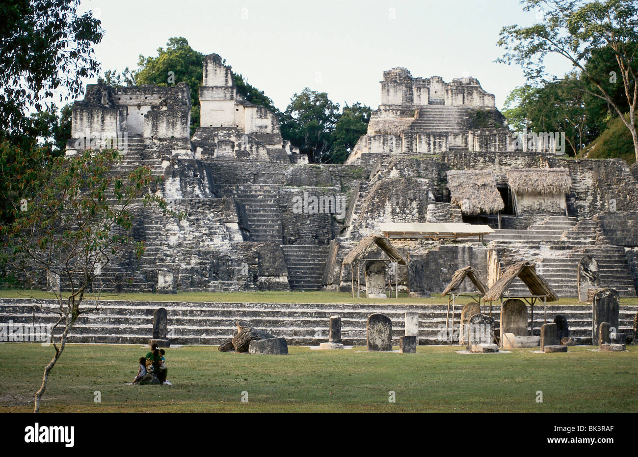 Mayan temple complex at Tikal, Guatemala Stock Photo - Alamy